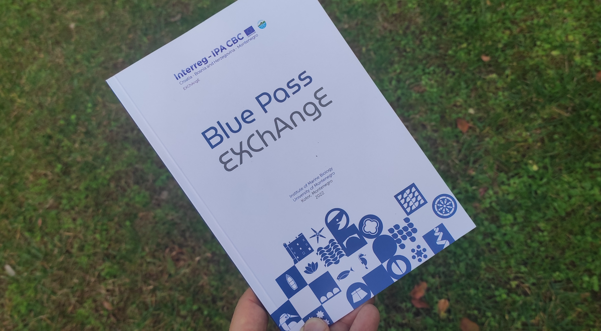Blue Pass EXChAngE Publication – Exchange